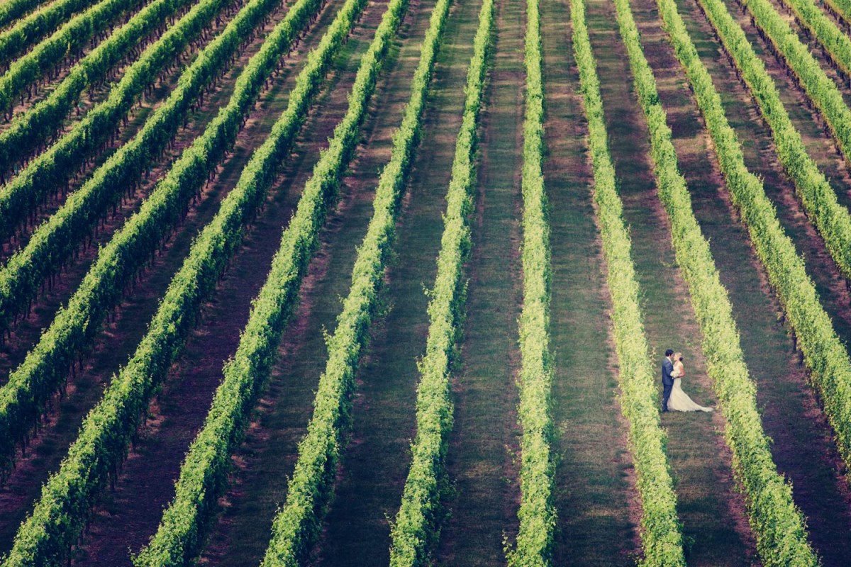 Mission Estate Winery Weddings & Events