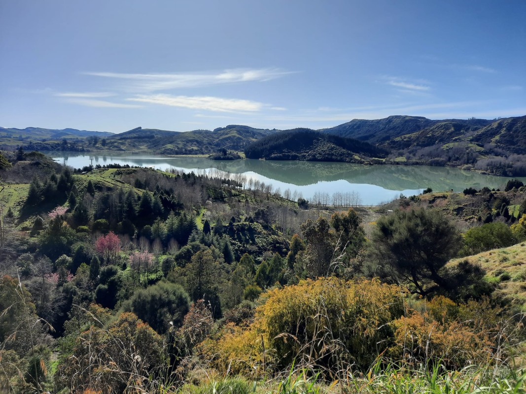 Guthrie-Smith Arboretum