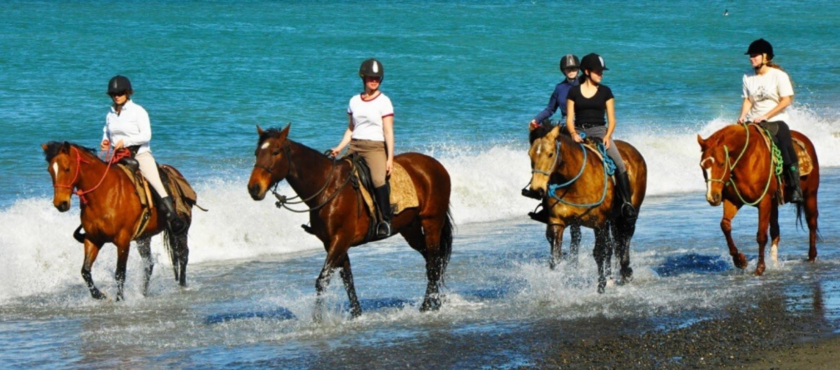 Boutique Horse Treks