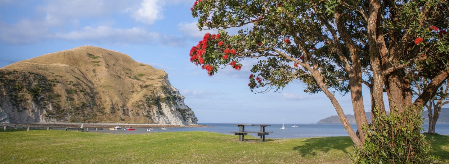 Freedom Camping in Wairoa District