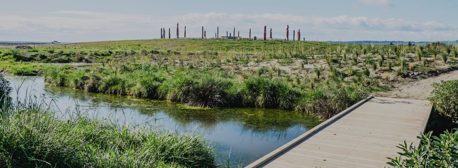 Waitangi Estuary