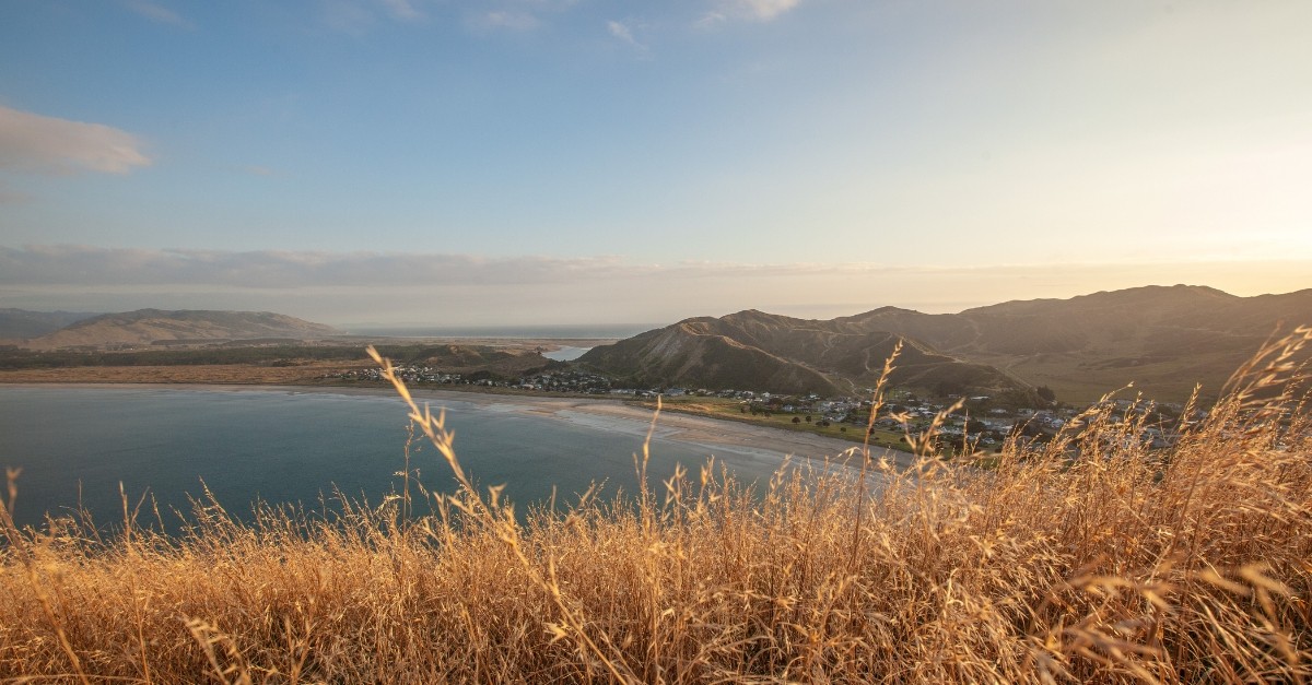 Wairoa Things To Do | Activities | Hawke's Bay NZ
